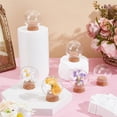 10 Pcs Decorative Jars Display Case 1.77x2.05 Inch Round Glass Display ...