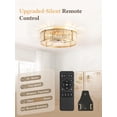 20 Inch Caged Ceiling Fan with Light, Modern Fan Chandelier, Ceiling ...