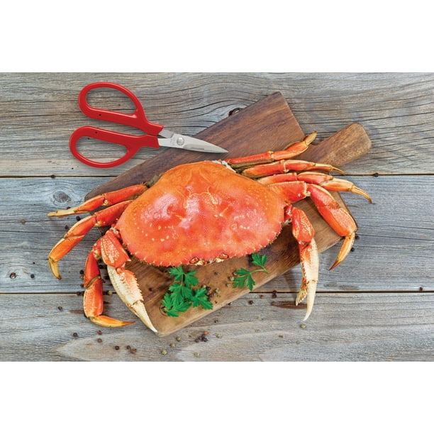 Maine Man Crab Seafood Scissors, Japanese Stainless Steel Blades, 6.25 ...