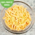 Nutristore Freeze-Dried Cheddar Cheese Shredded (Pack of 24) - Walmart.com