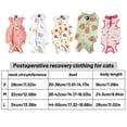 Cat Suit for After Surgery, Spay Suit for Female Cat, 14 in Elastic ...
