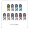 Gel Polish Cat Gel - Dynamic Broken Cat Eye Gel Nail Polish, Winter ...