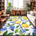 Area Rug 3x5ft Watercolor Lemon Washable Area Rugs for Living Room Blue ...
