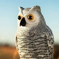 FACEGA Owl Garden Statue with LED Light,Weather-Resistant Owl Decoy for ...