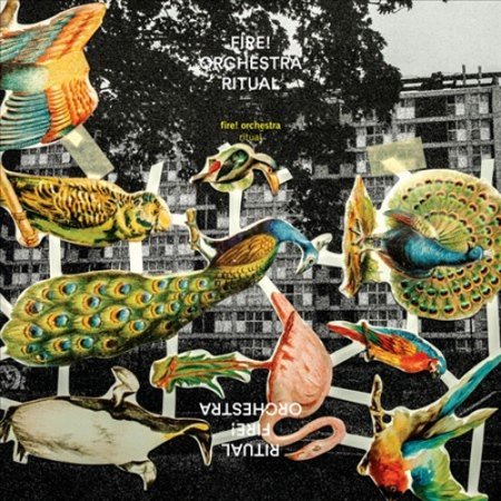 Ritual | Walmart Canada