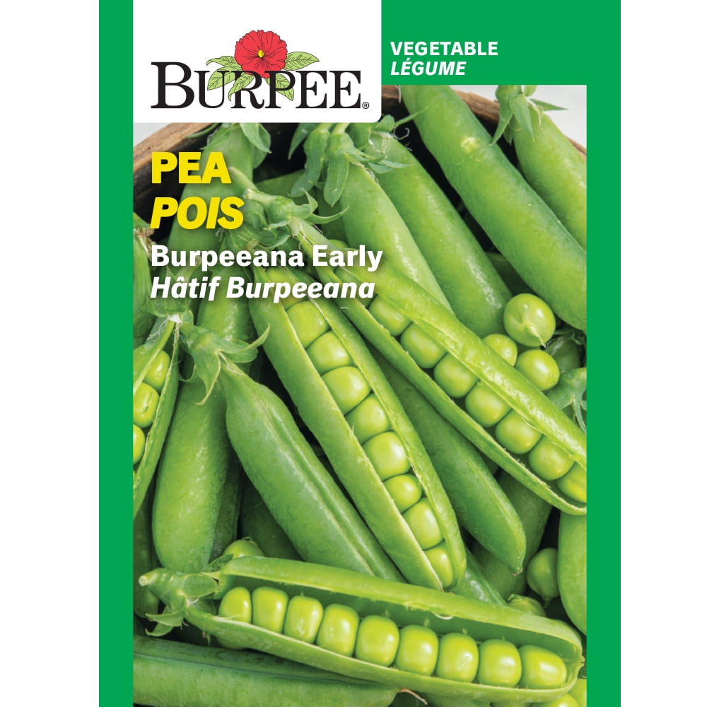 Click here for Burpee Canada Burpee Burpeeana Early Pea prices