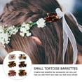 6pcs Acetate Leopard Gripper Tortoise Hair Claw Clips Hair Jaw Clips ...