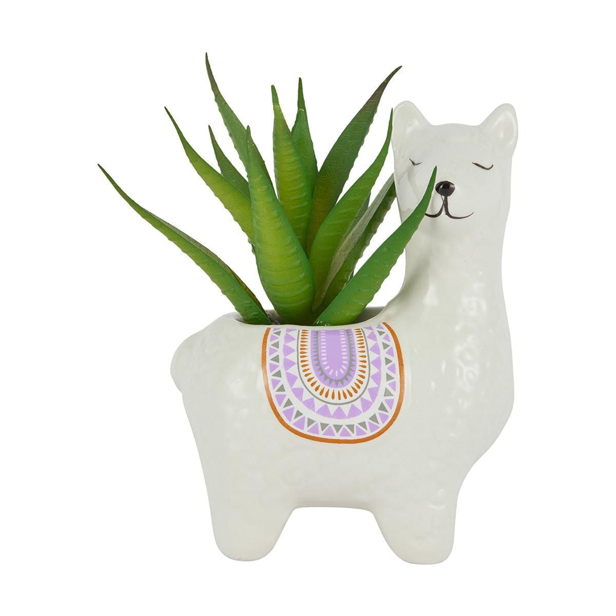 Anko Llama Succulent, succulent in a Llama pot - Walmart.ca
