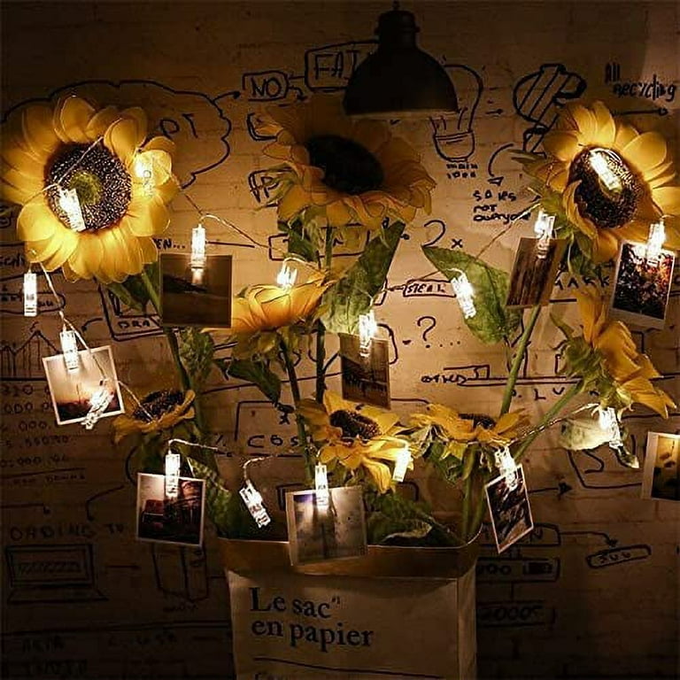 String Lights Photography