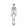 Walmart 35'' Poseable Full Size Human Skeleton Halloween Decor ...
