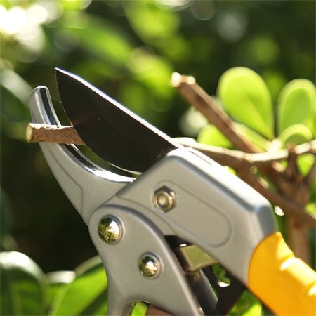 Manual Tree Pruner Handle Bush Pruning Shears Handheld Professional ...
