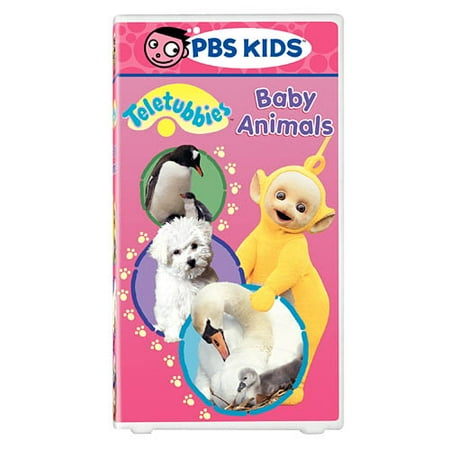 794054568431 UPC - Pbs Kids Pack Of Pals 4 Vhs | UPC Lookup