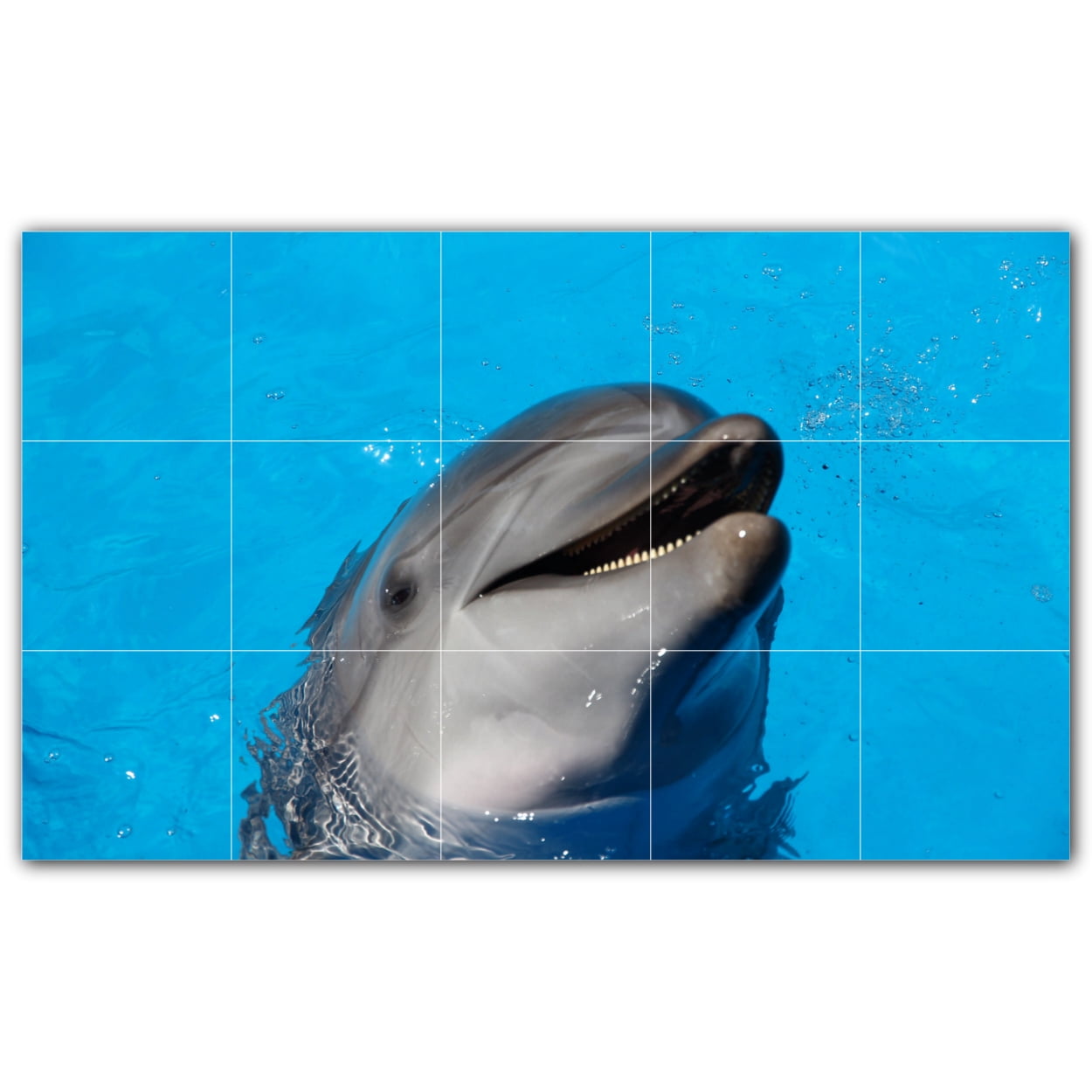 Picture-Tiles.com: Dolphin Ceramic Tile Wall Mural WAL500497-53XL. 60"W ...