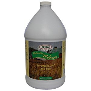 Molasses, Granulated - Walmart.com