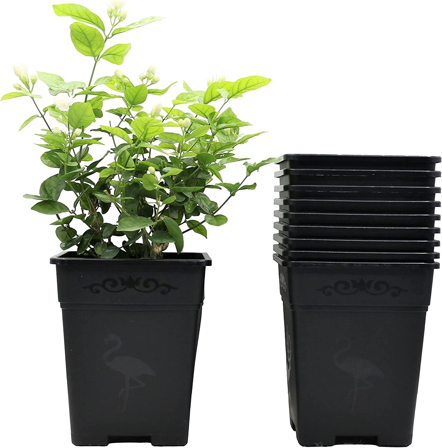 Cotta Planters 1 Gallon Square Nursery Pots 30-Pack 5.5 inch Bulk ...