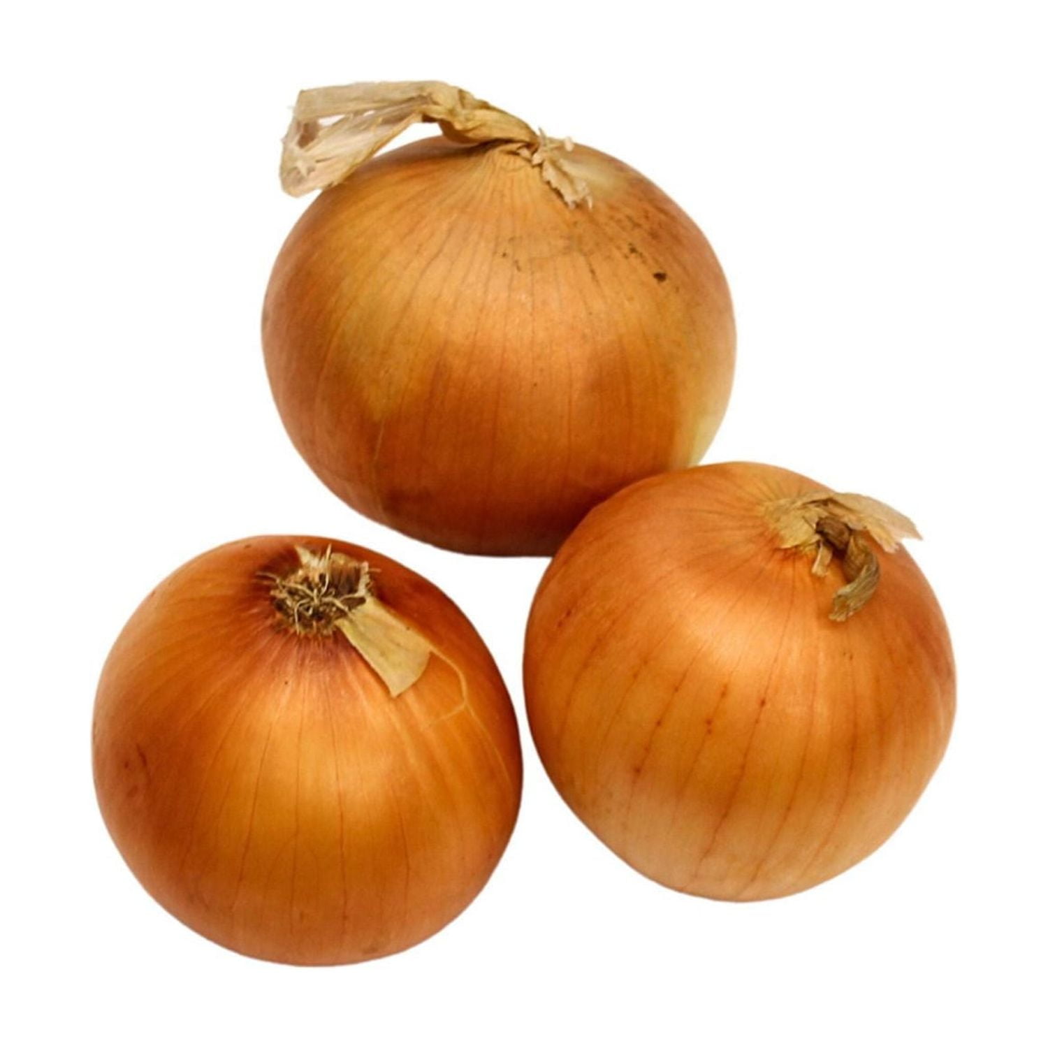 Onion, Yellow - Walmart.ca