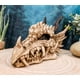 Ebros Jurassic Beowulf Elder Dragon Head Skull Realistic Fossil Statue ...