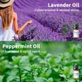 HIQILI Essential Oils Set, 6PCS*10ML Pure Plant Oil for Diffuser ...