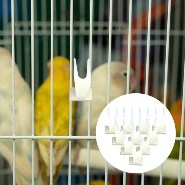 Pet Fruit Fork Foraging Toys Treating Tool Pet Feeder Budgie Parakeet ...
