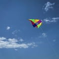 In the Breeze 3011 — Rainbow Conyne Delta Kite, 6-Feet, Single Line ...