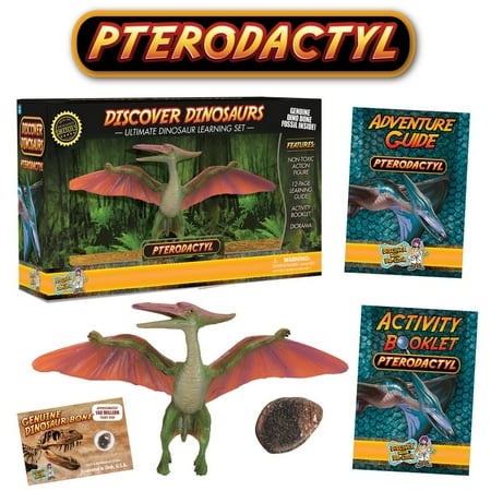 Pterodactyl Action Figure â€“ Includes Real Dinosaur Bone Fossil ...