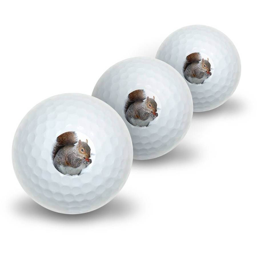 Squirrel Eating in Winter Novelty Golf Balls, 3pk - Walmart.com