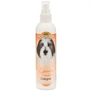 Oster Cologne Spray for Dogs, Baby Powder Scent, 6 oz. - Walmart.com