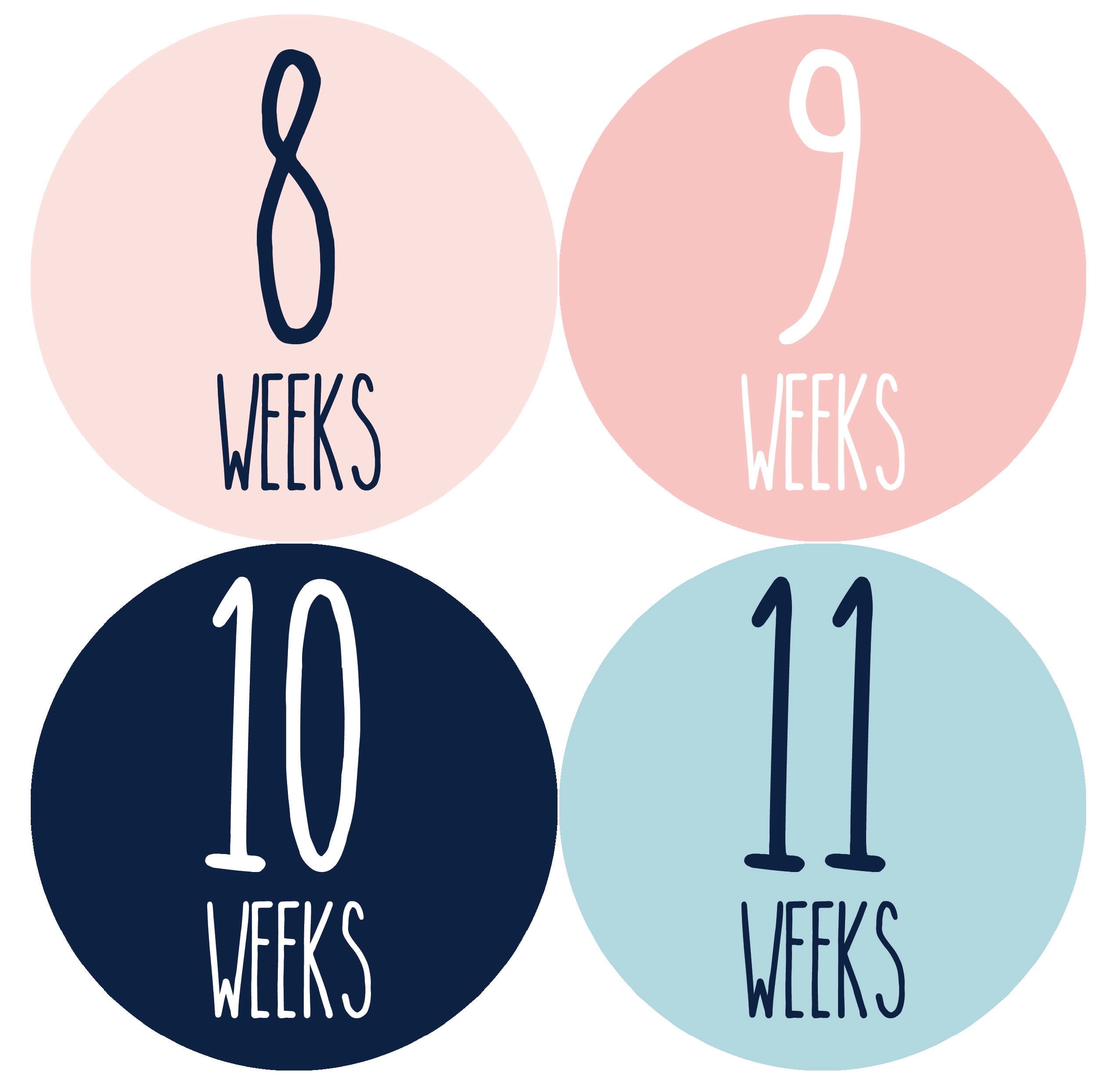 Weeks Pregnant Baby Bump