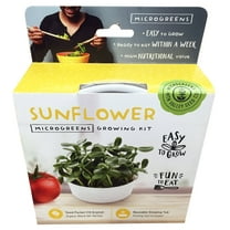 Indoor Mini Microgreens Growing Kit - Organic Salad Mix for Sandwich ...