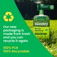 Sunday Green Machine Ready-to-Spray Lawn Fertilizer (22-0-3), 42.3 oz ...