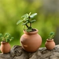Small Mini Clay Pots Ceramic Flower Pot for Succulent Cactus, Plants ...