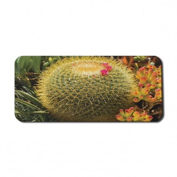 Cactus Computer Mouse Pad, Photo of Cactus Plant Flower with Spike ...