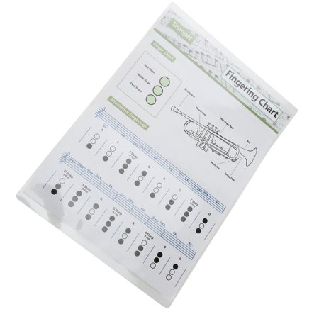 Trumpet Chord Chart, Wear Resistant Art Paper Trumpets Note Guide Scale ...