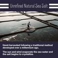 Le Marinier Celtic Sea Salt Extra Fine 1.1lb Unrefined Hand-Harvested ...