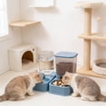 Two-in-one Pet Food & Water Bowl Set with 15° Inclined Design, Non-slip ...
