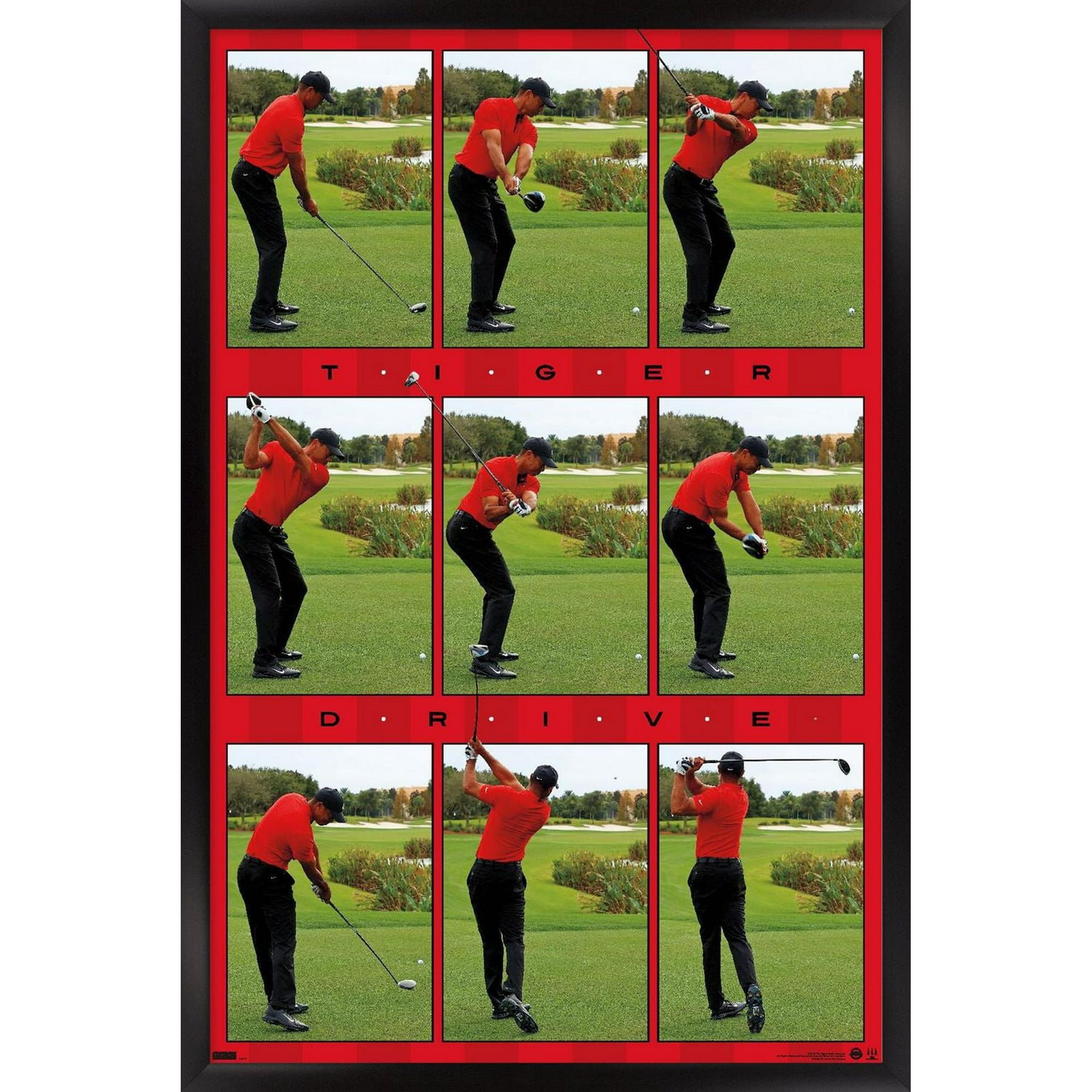 Click here for Trends International Tiger Woods - Drive Wall Post... prices