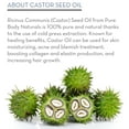 Pure Body Naturals Organic Castor Oil Eyelash And Eyebrow Growth