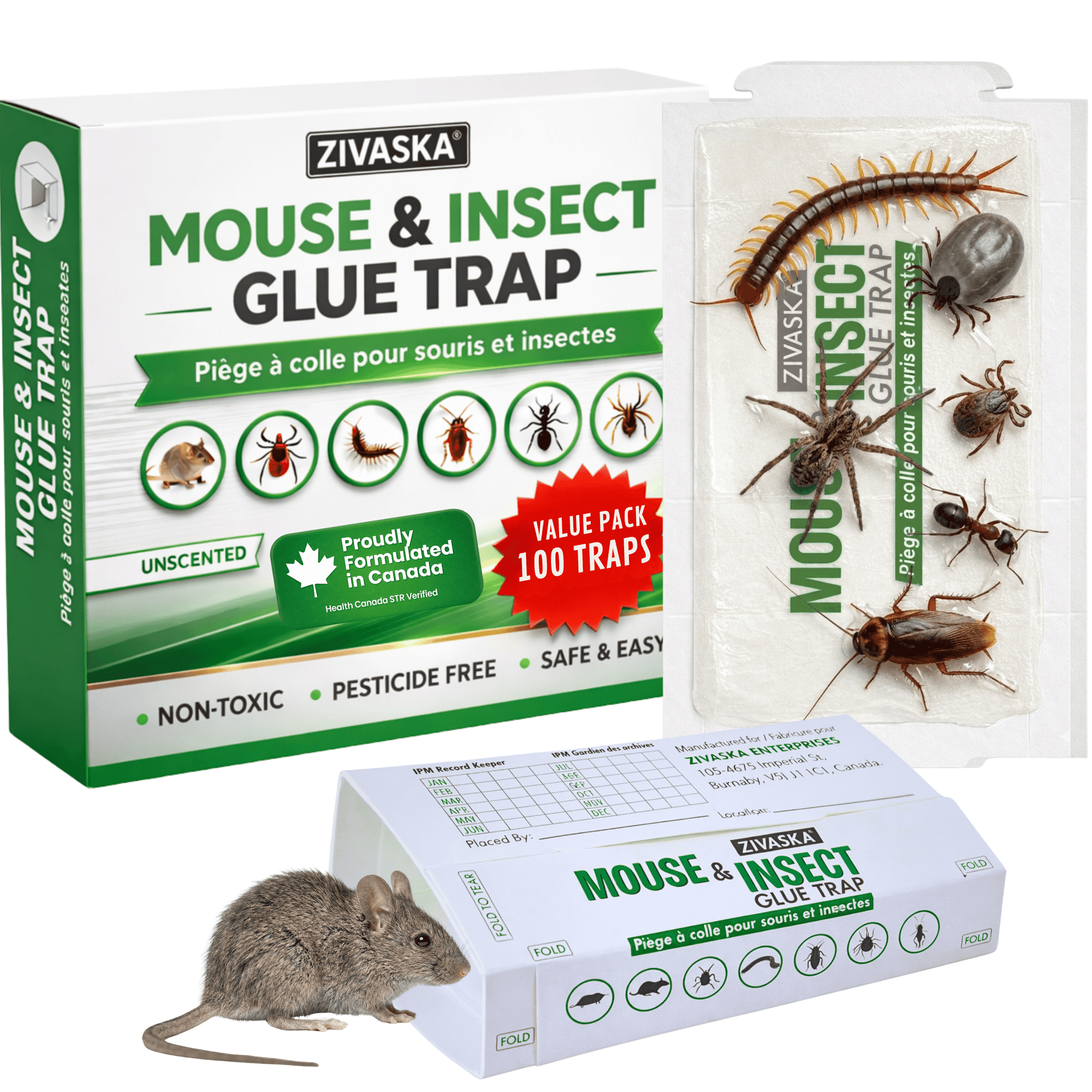 Click here for Zivaska Sticky Mice Traps  Mouse Traps  Insect Glu... prices