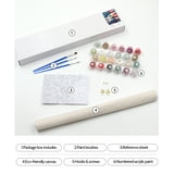 SUMGAR American Flag Paint by Numbers Kit for Adults Bald Eagle ...