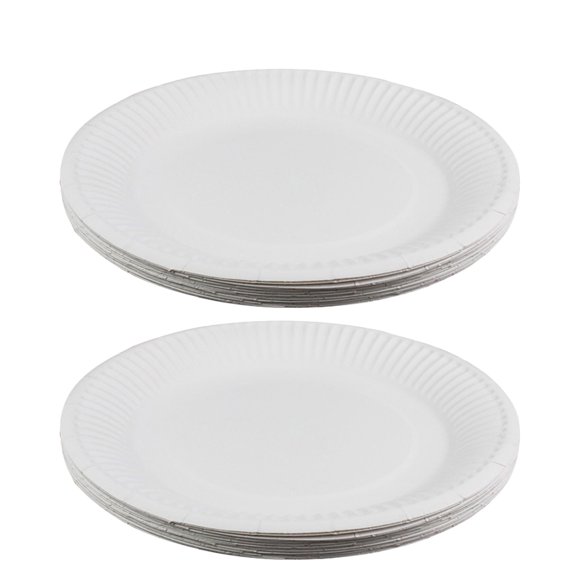 6" Disposable Plates