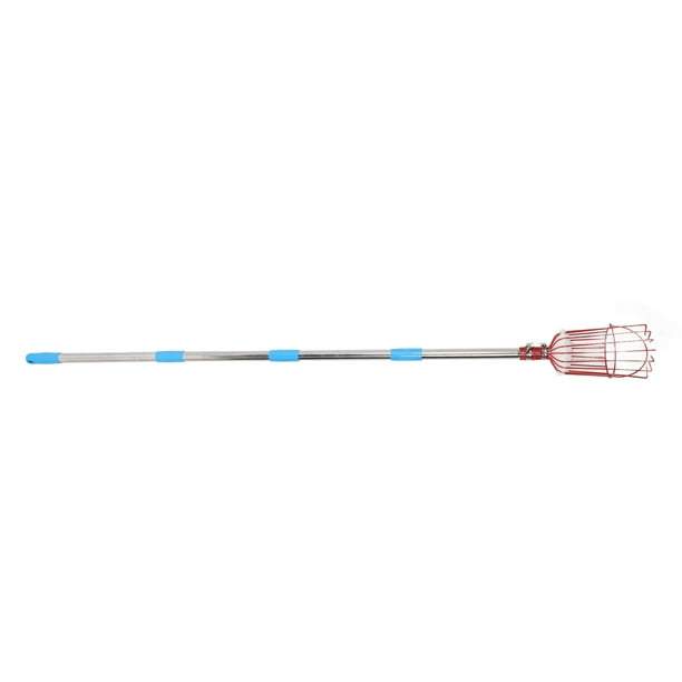 COCONUT Fruit Picker, Extendable Long Handle, Easy To Use Fruits Picker ...