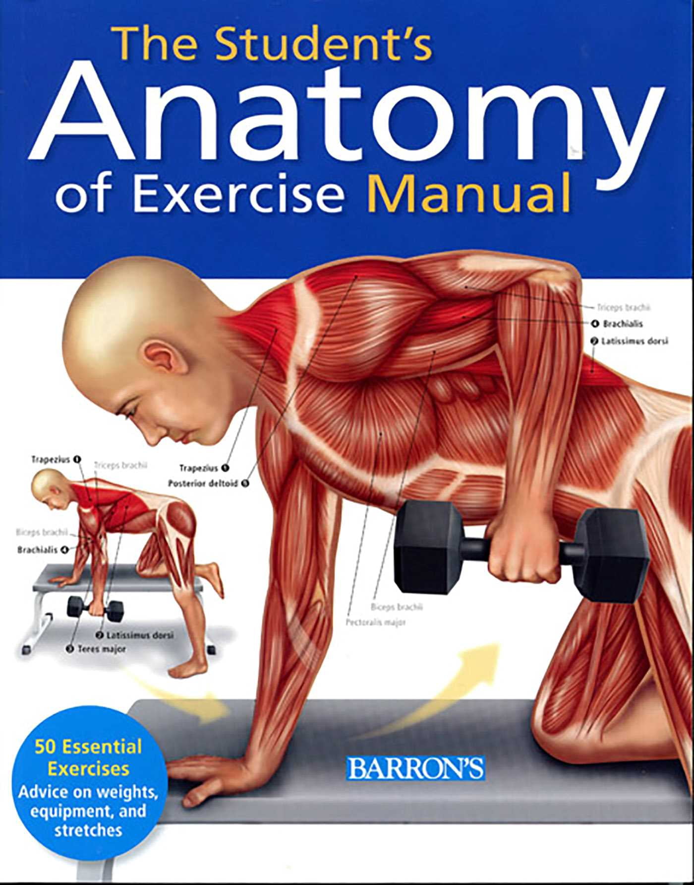 Student s Anatomy Of Exercise Manual 50 Essential Exercises Including Student s Anatomy Of Exercise Manual 50 Essential Exercises Including
