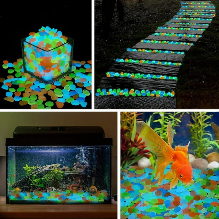 Glow In The Dark Fish Tank