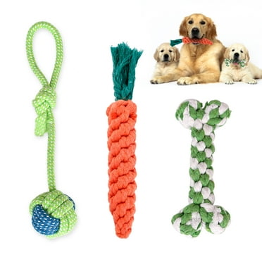 Premier Pet Ring Holding Dog Toy For Medium Dogs - Ball With Refillable ...