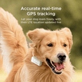 Petcube GPS Dog Tracker with Escape Alerts, Virtual Fence, Activity ...