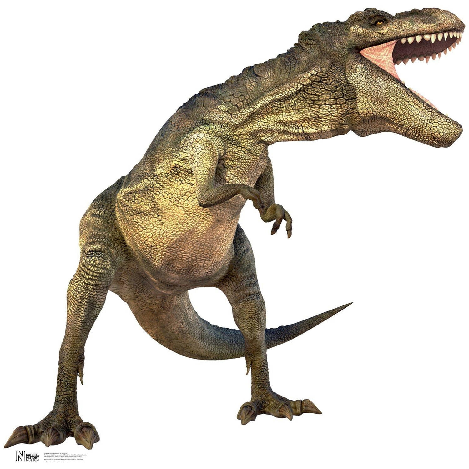 T Rex Standup, 5' Tall - Walmart.com - Walmart.com T Rex Standup, 5' Tall - Walmart.com - Walmart.com