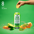 Not Beer Sparkling Water Lemon Lime 16 fl oz Tall Boy Cans Flavored ...