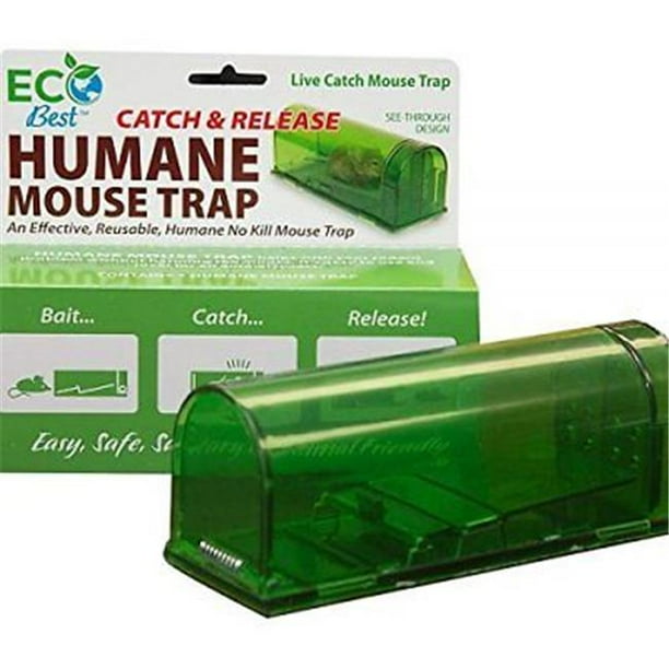 P.F. Harris EMT-LIVE Catch & Release Humane Mouse Trap - Walmart.ca