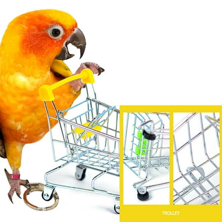 Parrot Bird Mini Supermarket Shopping Cart Shaped Toy Intelligence ...