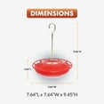 Newhouse Pet Hummingbird Tray Feeder NHP-HUMTRY-RD, Hummingbird Feeder ...